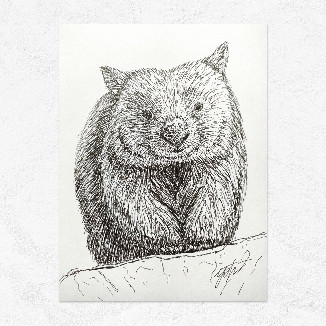 Wombat, Original Pen and Ink Drawing, Size 21x14.8 Cm A5, Paper 200g ...