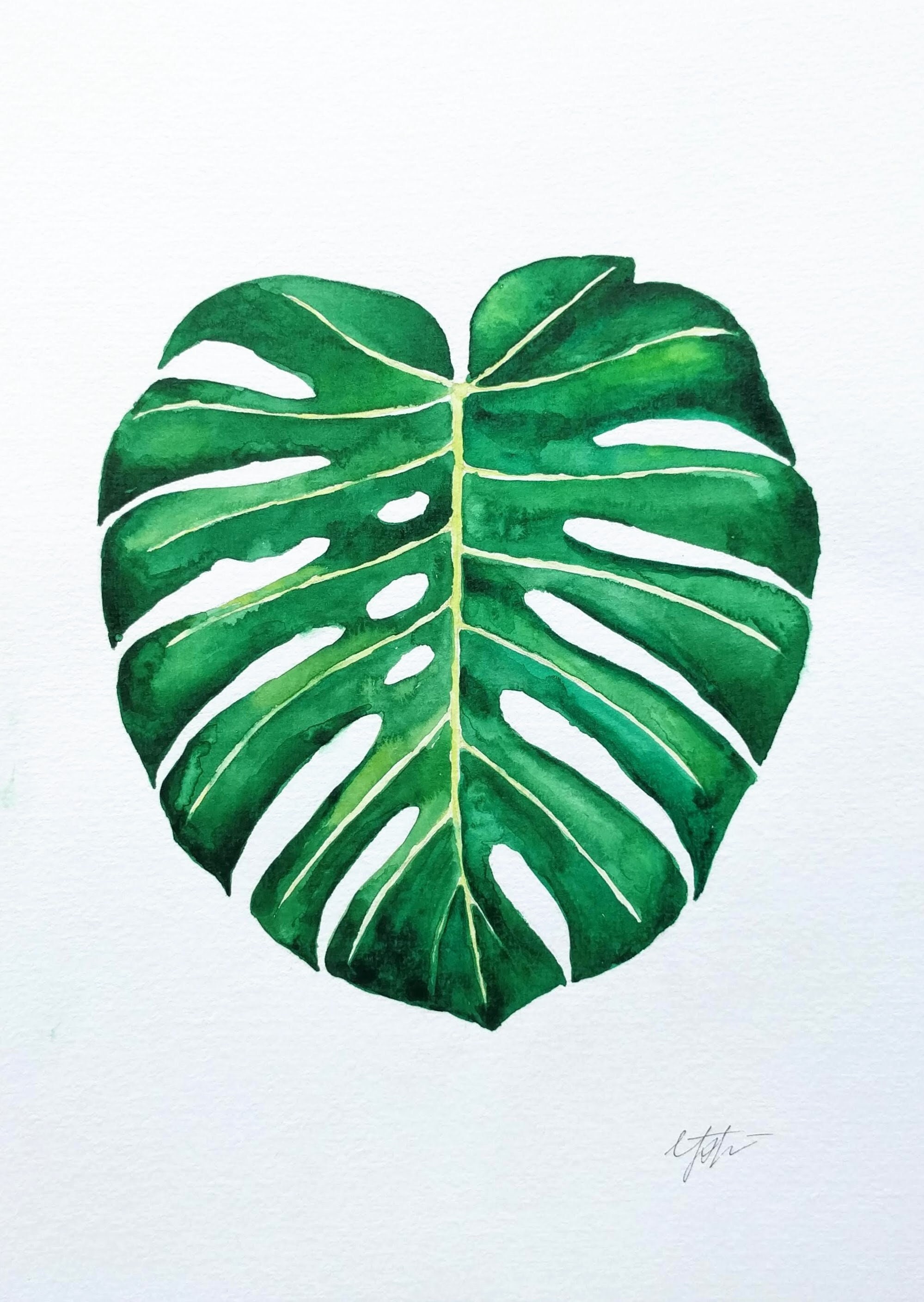 Monstera Leaf Original Watercolor Painting Size 29.7x21 Cm - Etsy