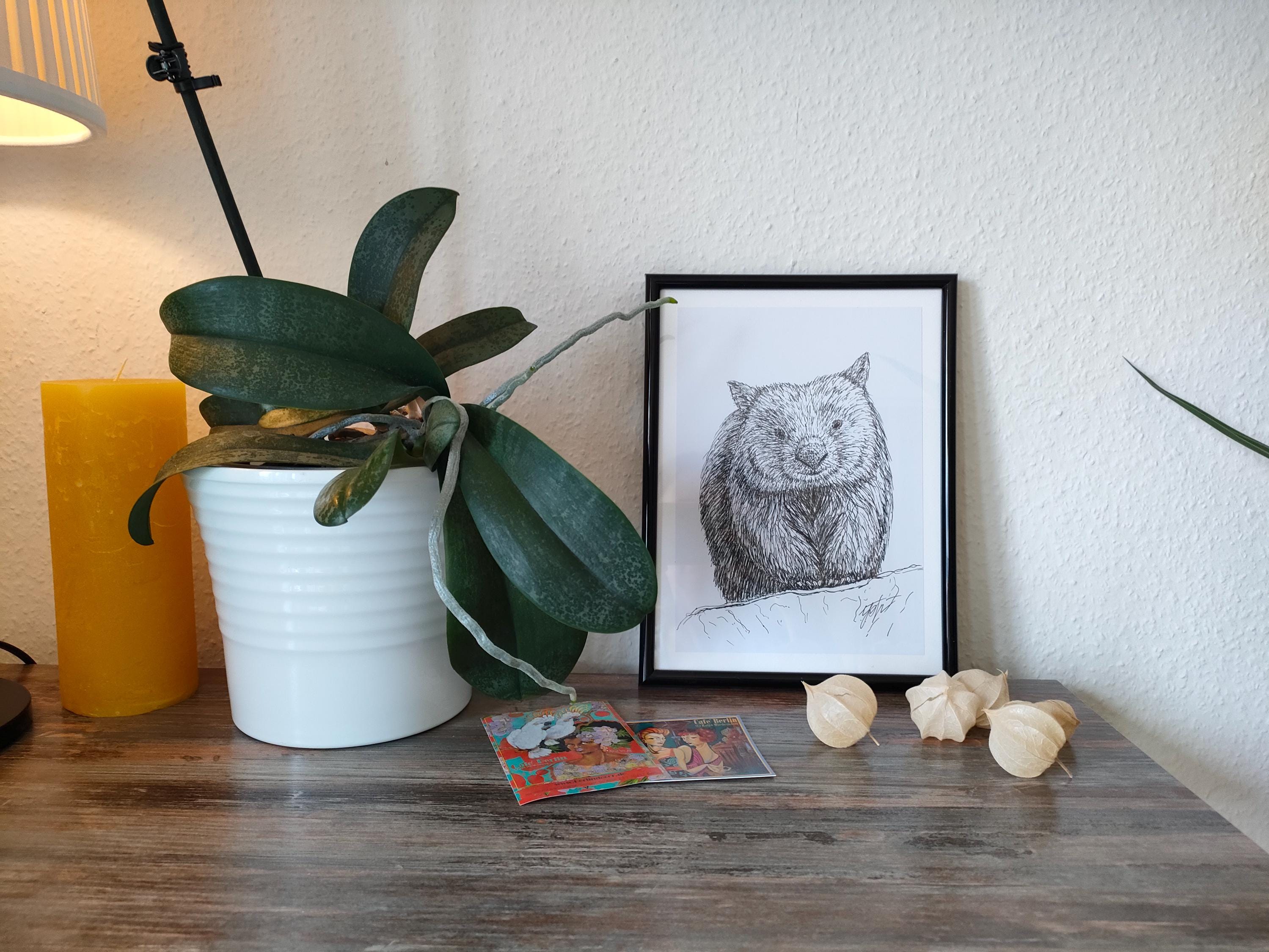 Wombat, Original Pen and Ink Drawing, Size 21x14.8 Cm (A5), Paper 200g ...
