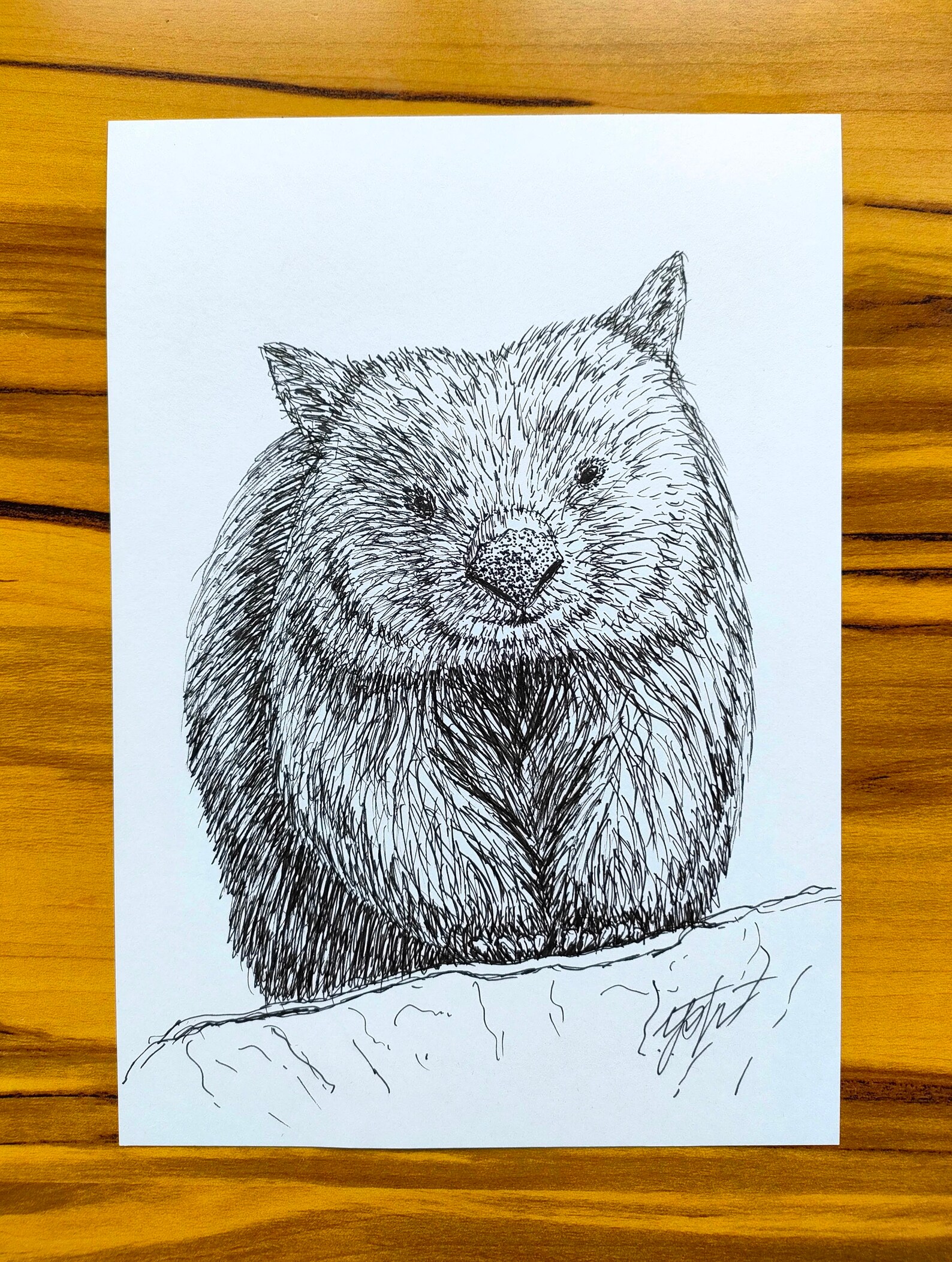 Wombat, Original Pen and Ink Drawing, Size 21x14.8 Cm (A5), Paper 200g ...
