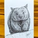 Wombat, Original Pen and Ink Drawing, Size 21x14.8 Cm (A5), Paper 200g ...