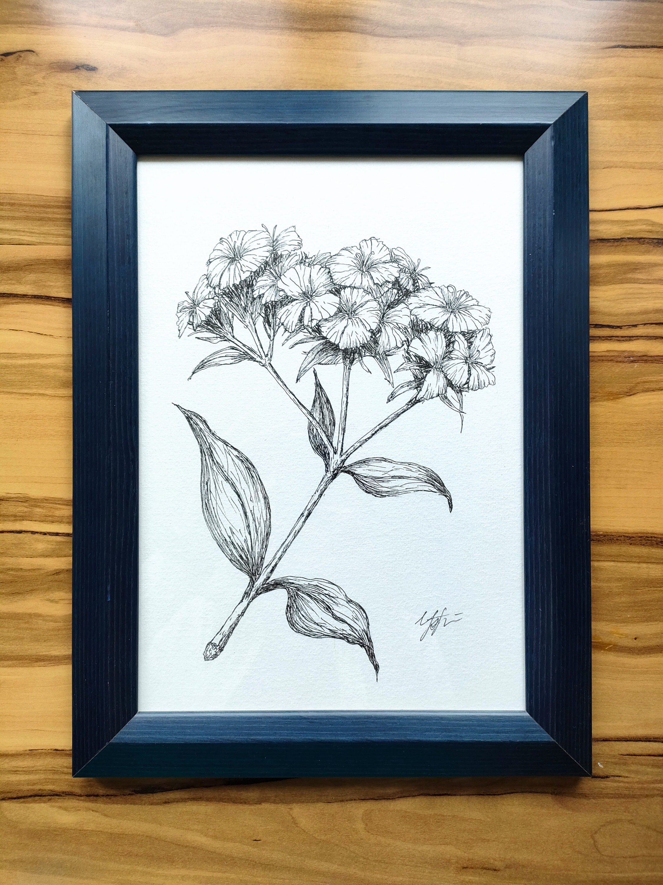 China Pink, Original Pen and Ink Drawing, Size 29.7x21 Cm (A4 ...