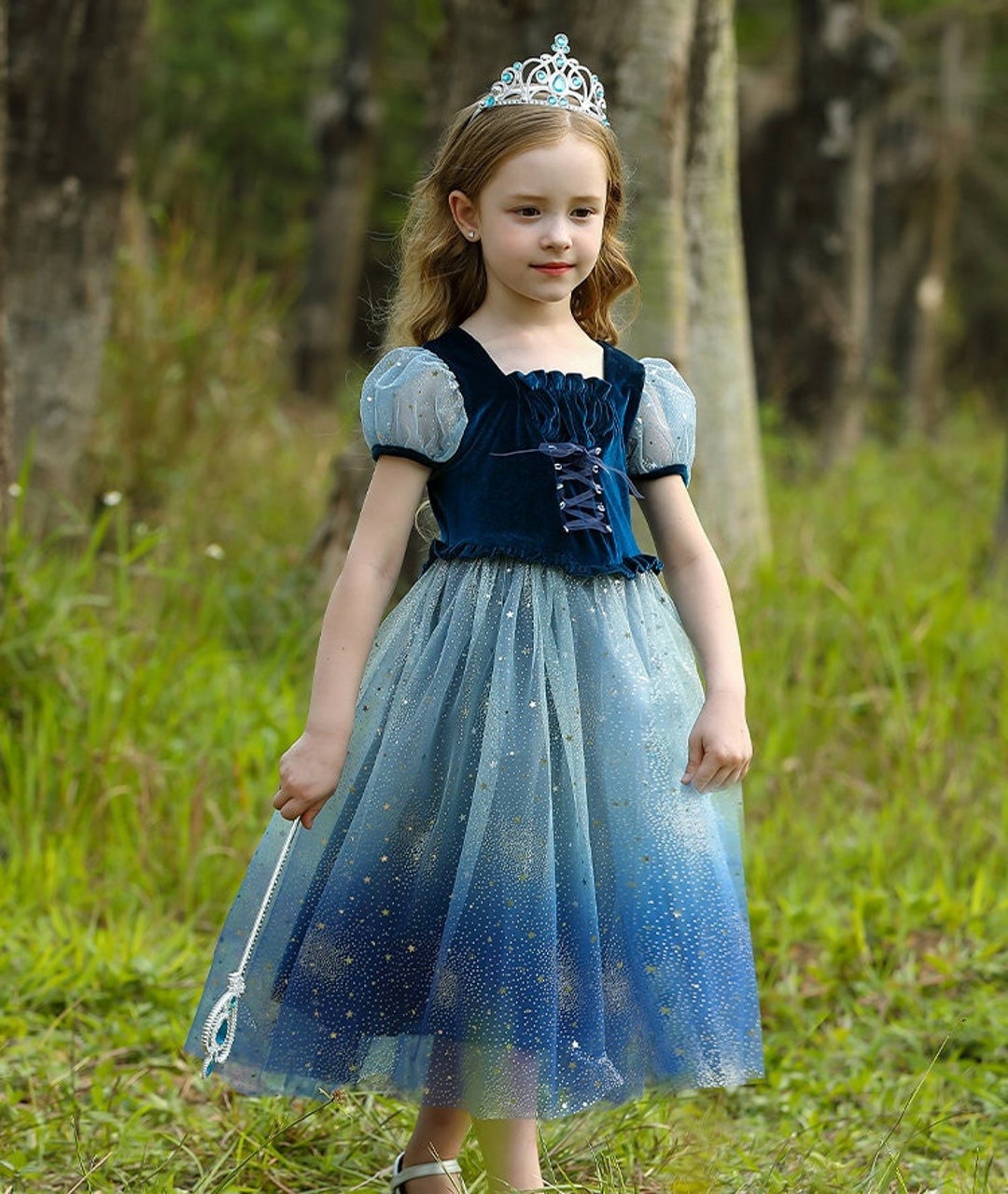 Short Sleeve Blue Princess Dress, Cute Blue Velvet Dress, Birthday Gift ...