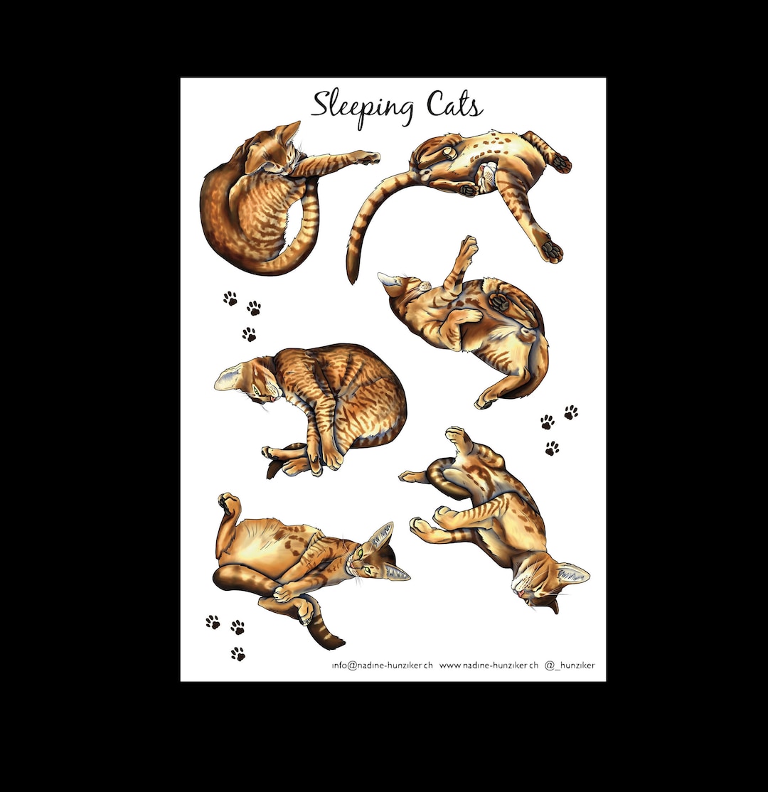 Sleeping Cats Sticker Sheet – Cute Cat Stickers for Planners, Laptops ...