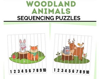 Number Sequencing Puzzles - Etsy