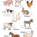 3 Digital I-spy Charts for Children | Road Trip| Farm | Beach - Etsy