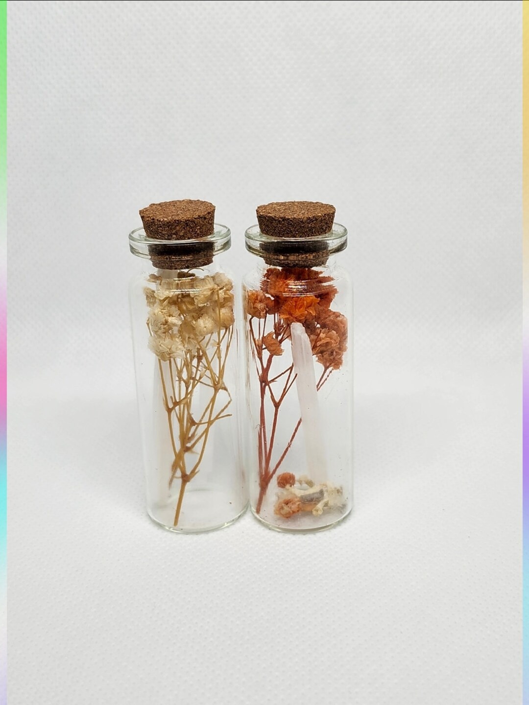 Bone, Plant and Crystal Display & Plant and Crystal Display Jars - Etsy
