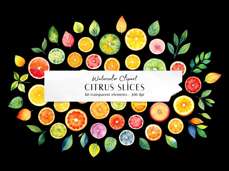 60 Juicy Citrus Watercolor Clipart - Lemon, Orange, Grapefruit, Lime ...