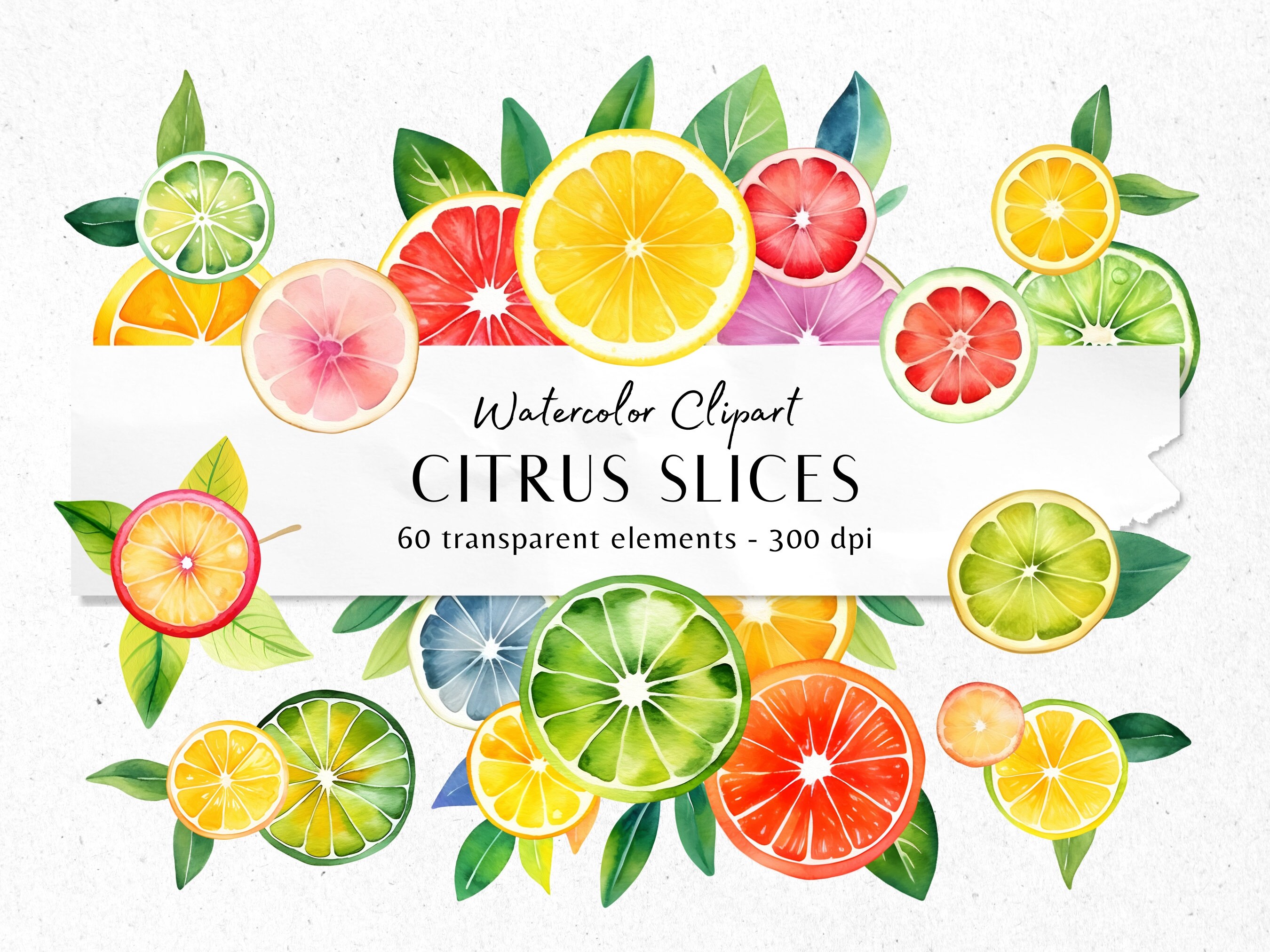 60 Juicy Citrus Watercolor Clipart Lemon, Orange, Grapefruit, Lime, and ...
