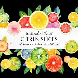 Juicy Citrus Watercolor Clipart: Lemon, Orange, Lime (instant Download ...