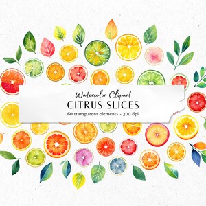 Juicy Citrus Watercolor Clipart: Lemon, Orange, Lime (instant Download ...