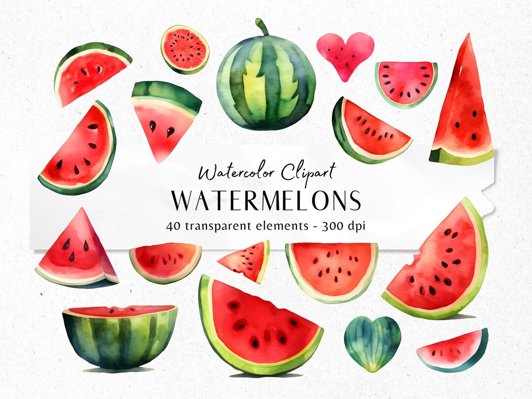 40 Watermelon Clipart - Watermelon Watercolor Elements - Instant ...