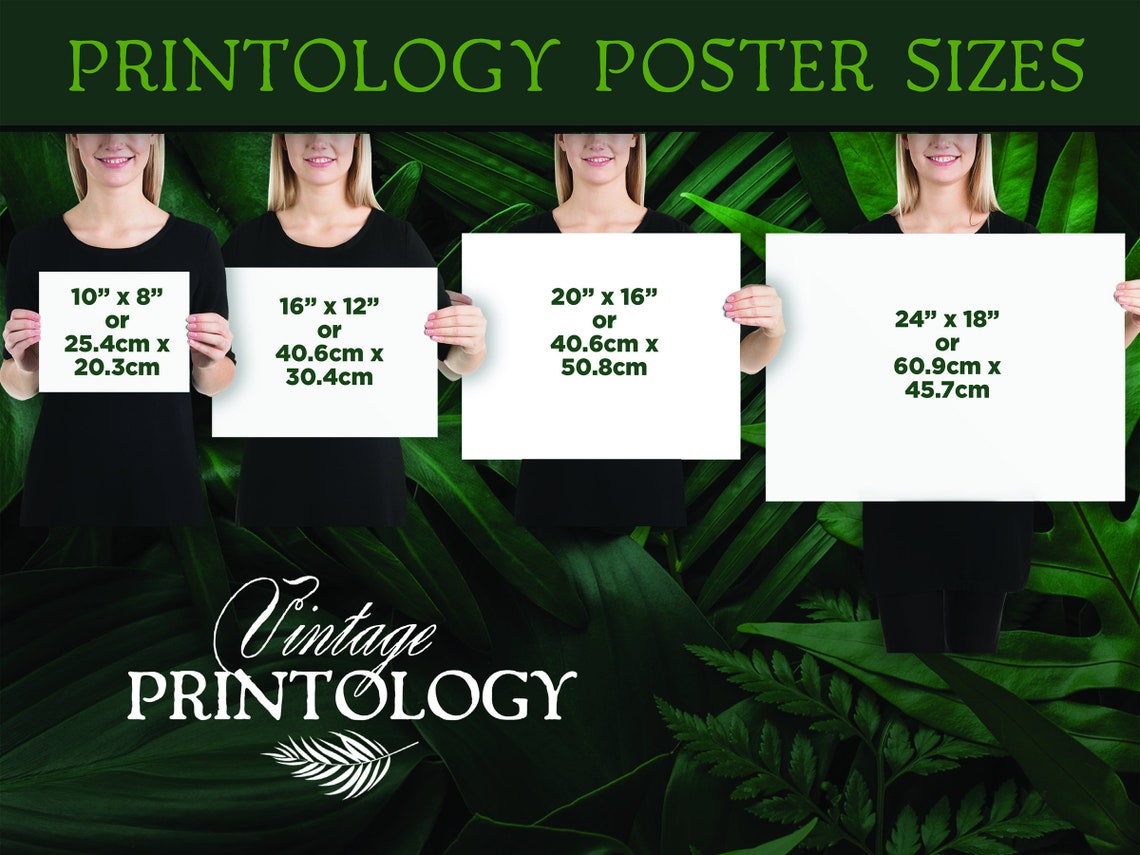 Vintage Pyrex Patterns Poster Pyrex Chart Pyrex Collection - Etsy