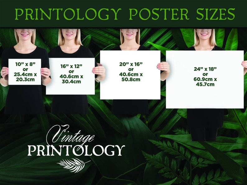 Vintage Pyrex Patterns Poster Pyrex Chart Pyrex Collection - Etsy