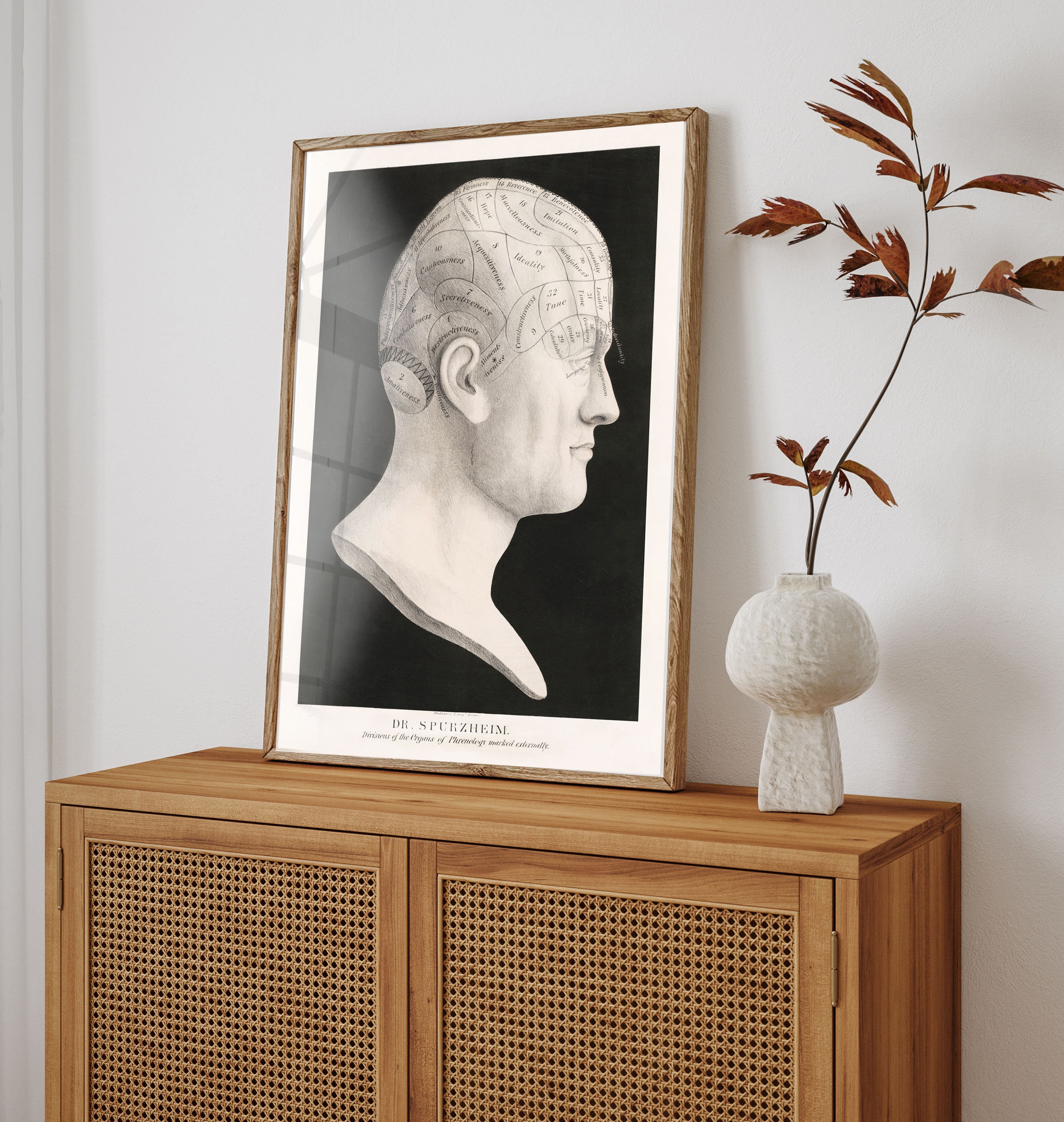 Antique Phrenology Poster Reproduction, Dr. Spurzheim Portrait of Human ...