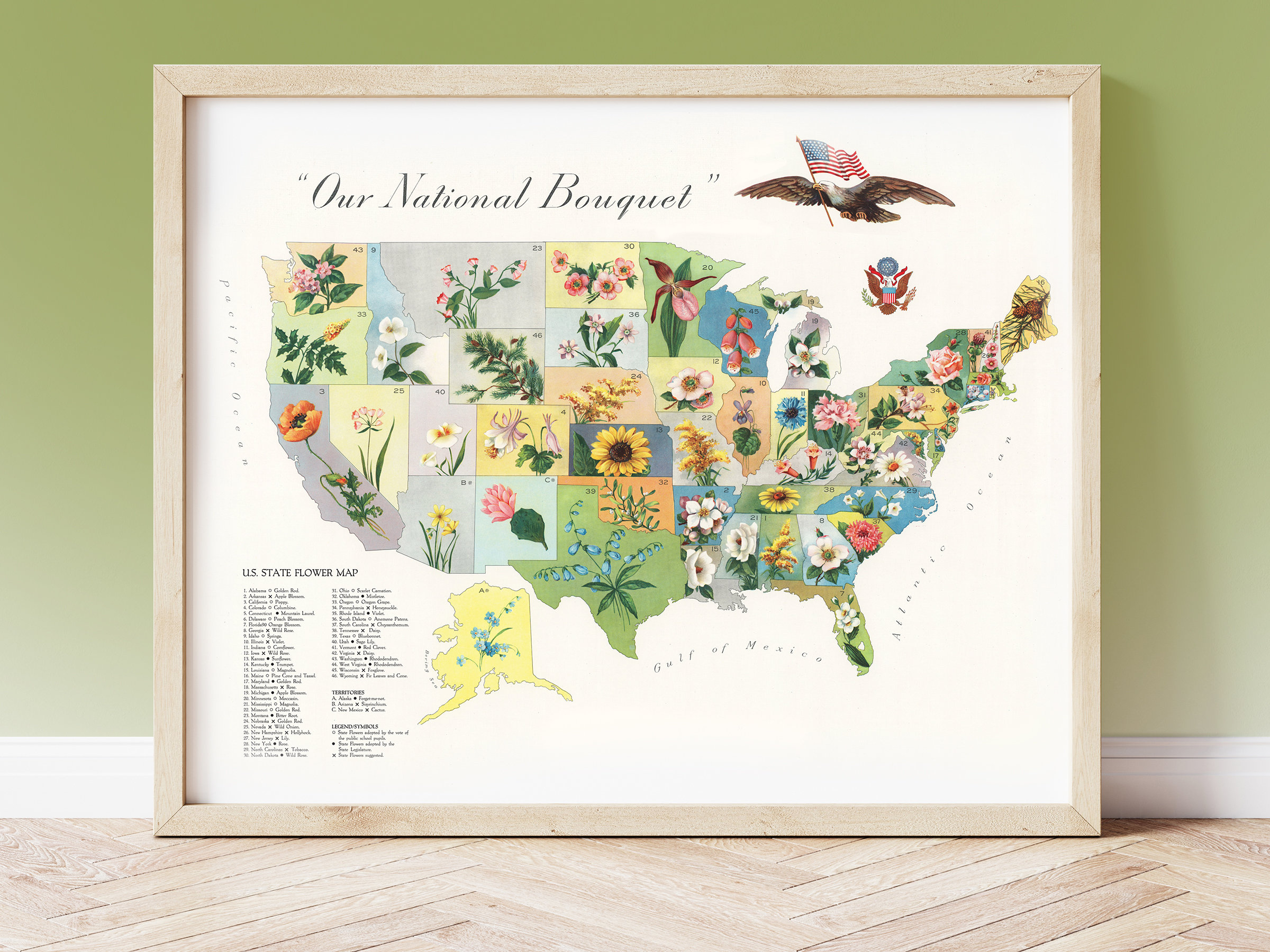 Antique U.S. State Flower Map Print Circa 1911, American State Flowers ...