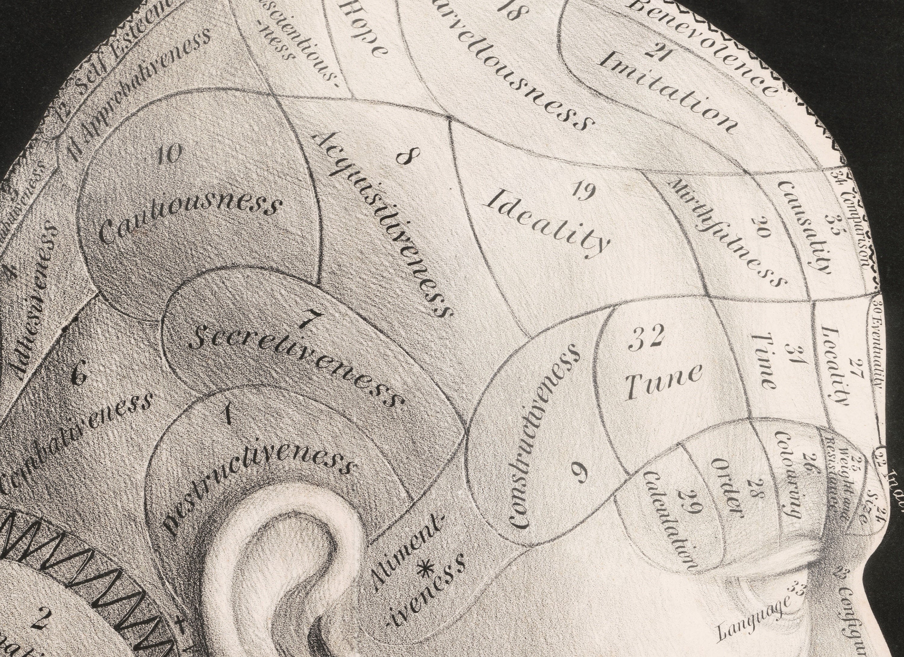 Antique Phrenology Poster Reproduction, Dr. Spurzheim Portrait of Human ...