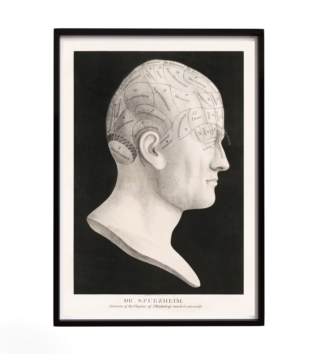 Antique Phrenology Poster Reproduction, Dr. Spurzheim Portrait of Human ...