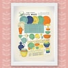 Vintage Pyrex Patterns Poster, Pyrex Chart, Pyrex Collection, Mid ...