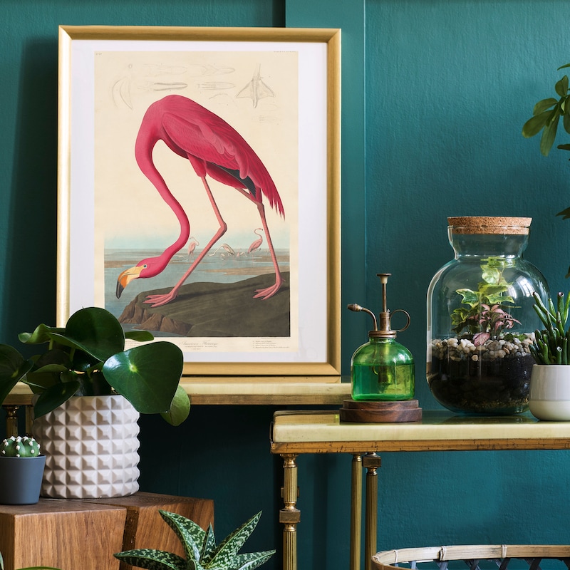 vintageprintology - Etsy