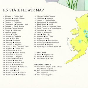 Antique U.S. State Flower Map Print Circa 1911, American State Flowers ...