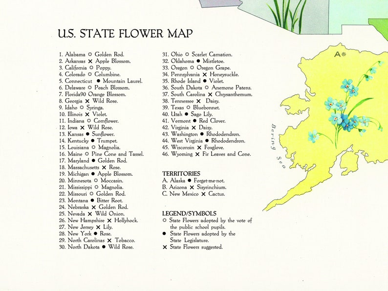 Antique U.S. State Flower Map Print Circa 1911, American State Flowers ...