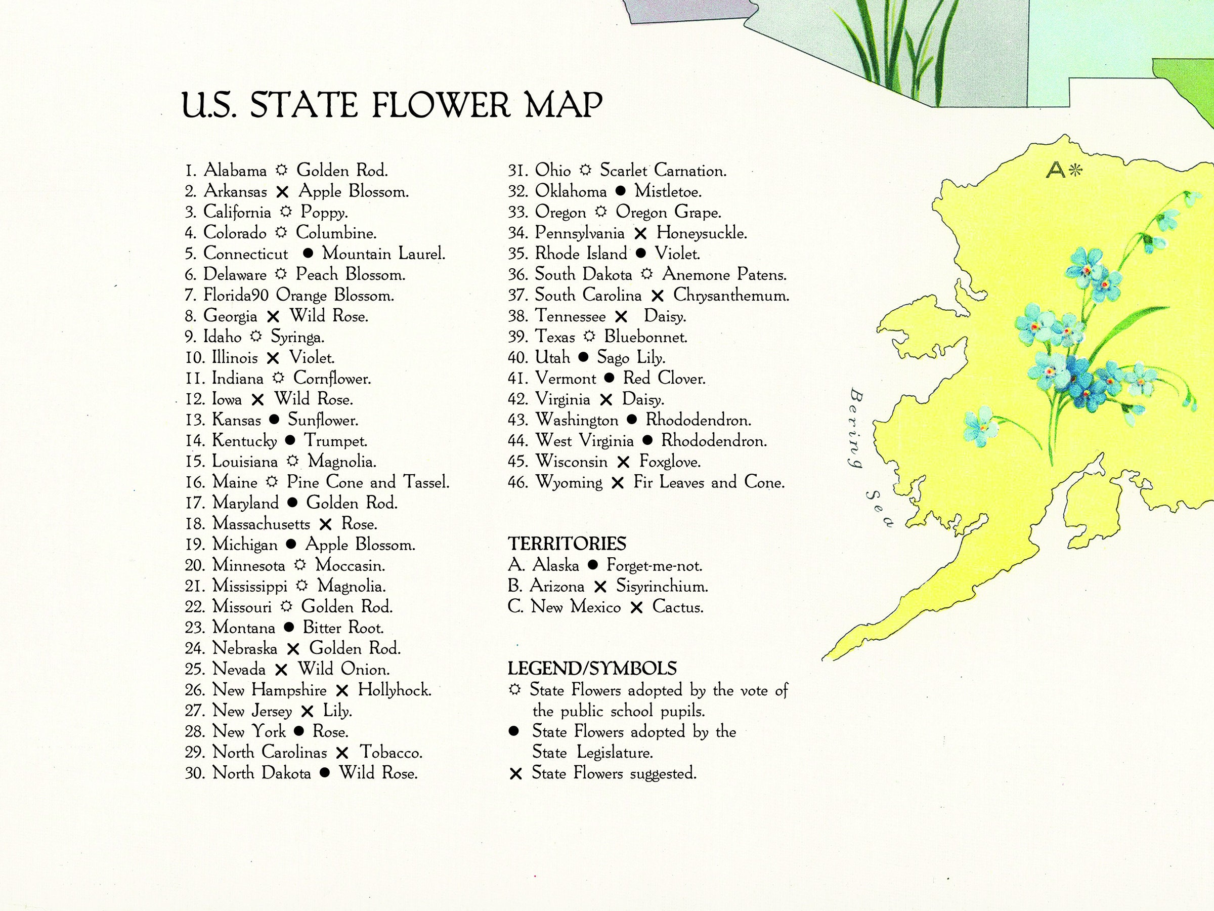 Antique U.S. State Flower Map Print Circa 1911, American State Flowers ...