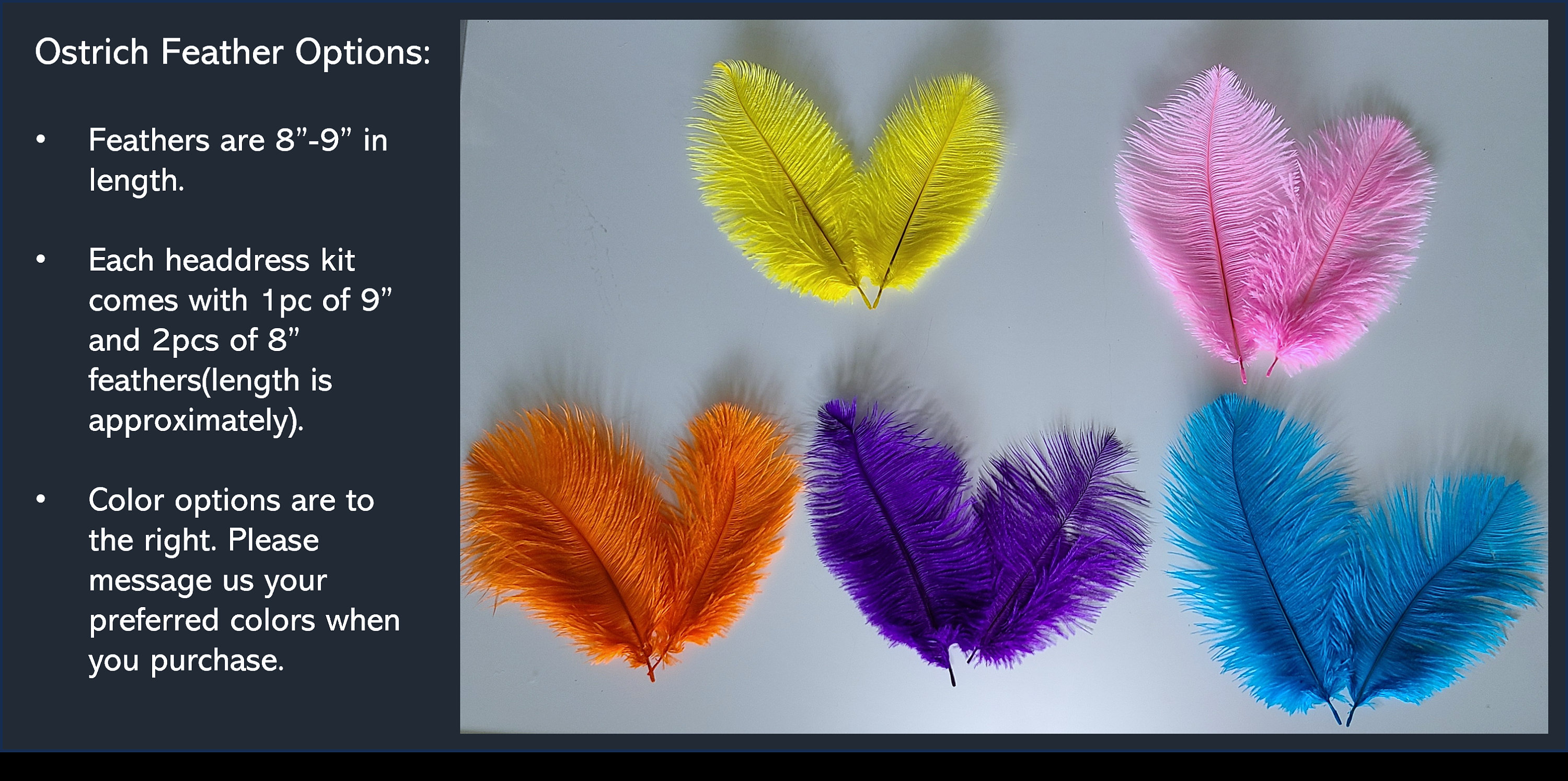 DIY Carnival Feather Headdress Kit Carribean Parad Style, Easy Kid's ...