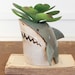 Ceramic Shark Planter - Etsy