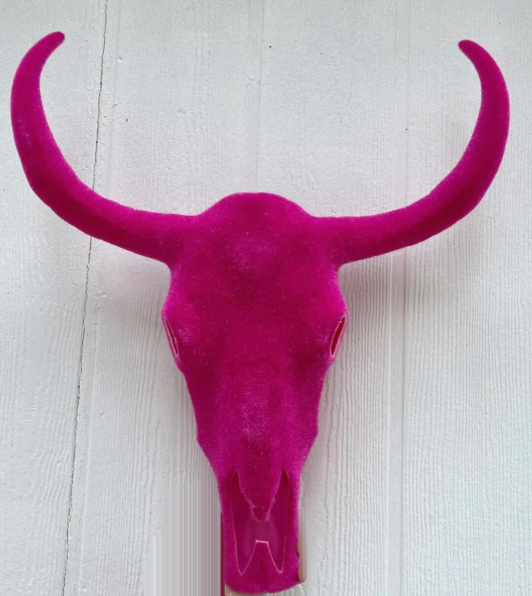 Flocked Longhorn Skull Wall Mount - Etsy