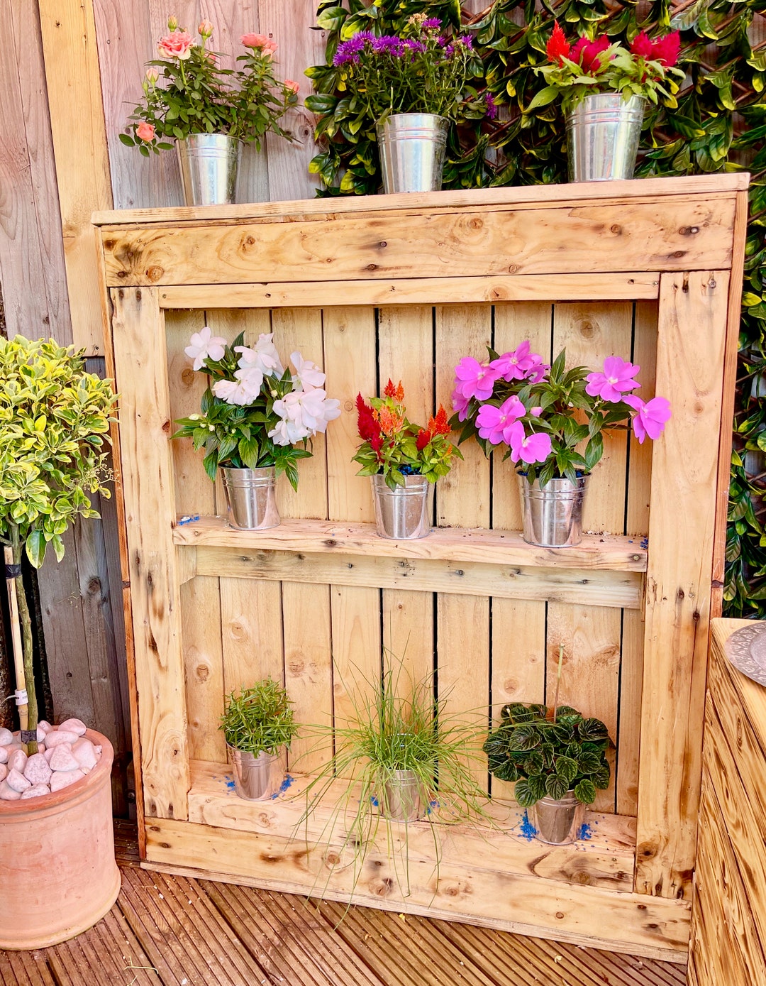 Herb/flower Cabinet - Etsy
