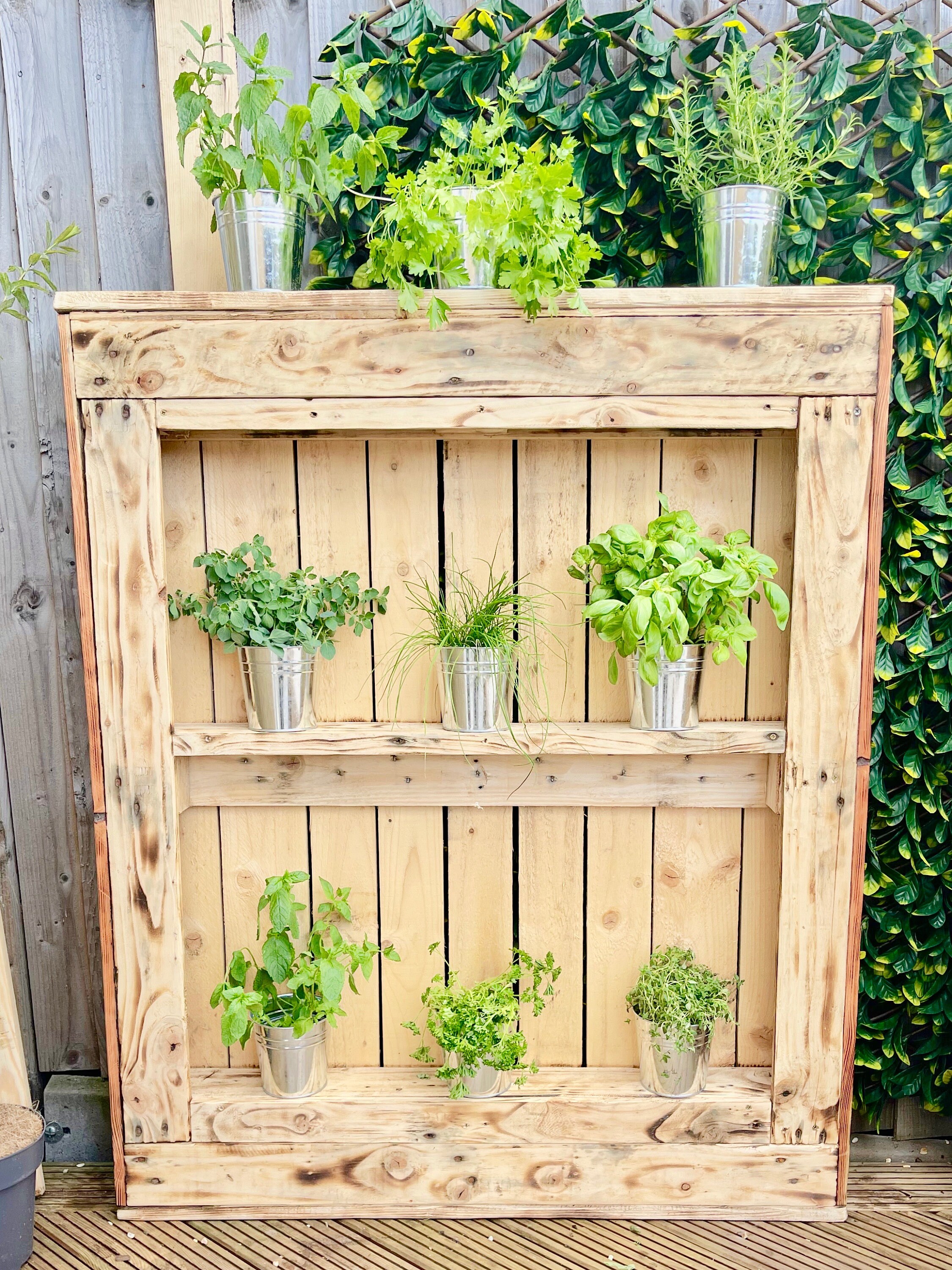 Herb/flower Cabinet - Etsy