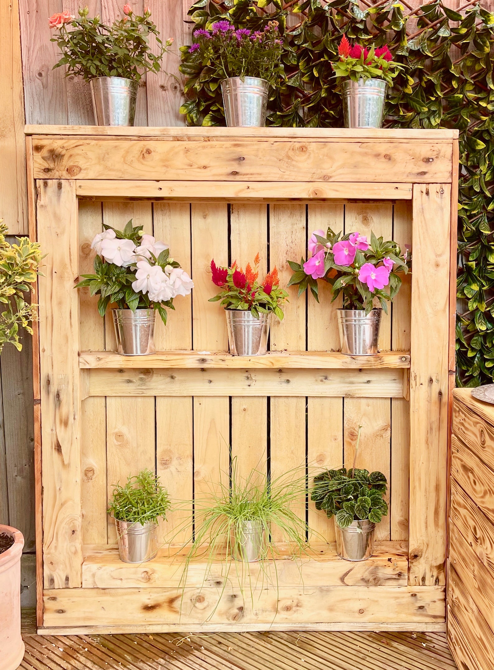 Herb/flower Cabinet - Etsy