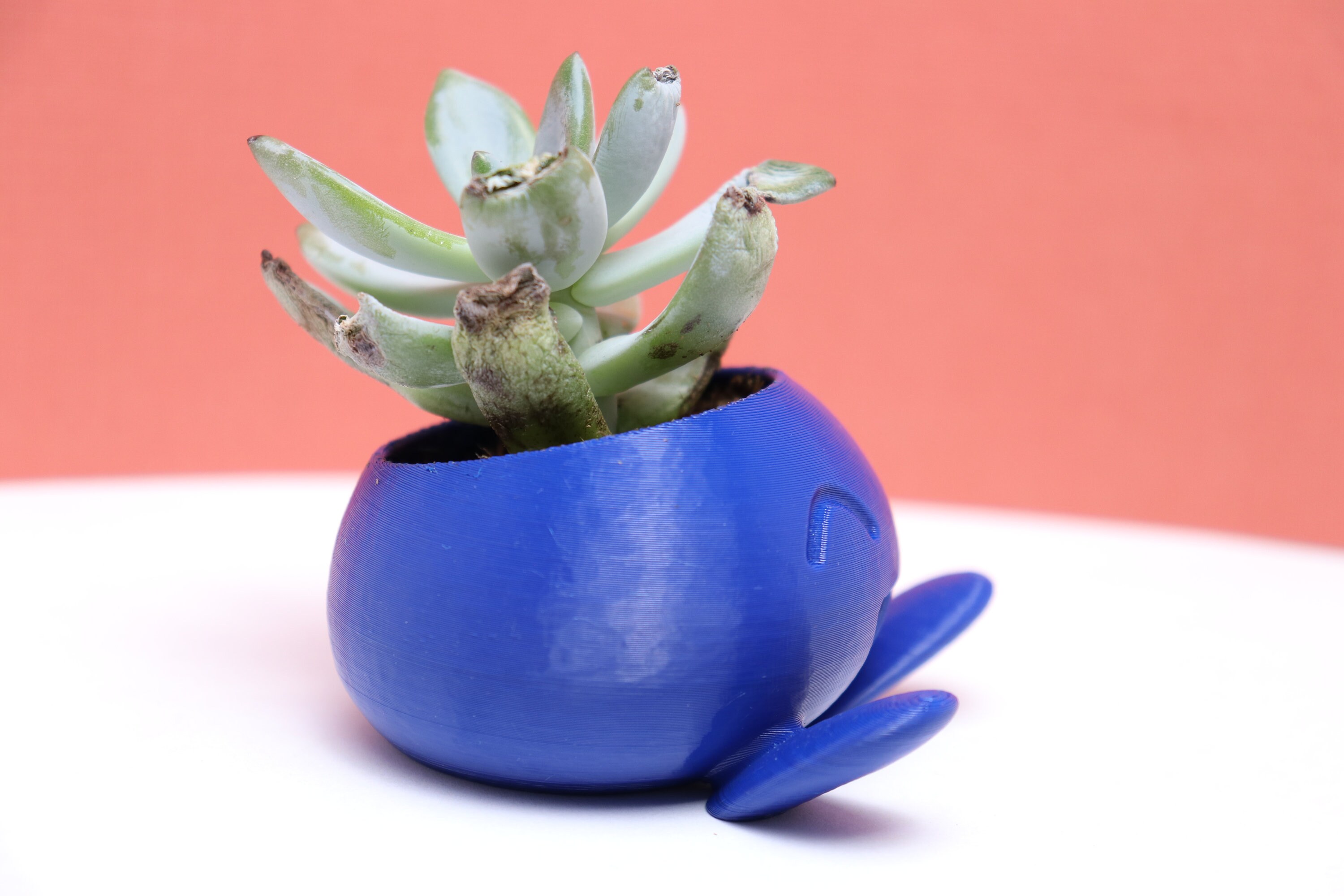 3D Printed Mini Oddish Pokemon Planter Succulent Planter - Etsy