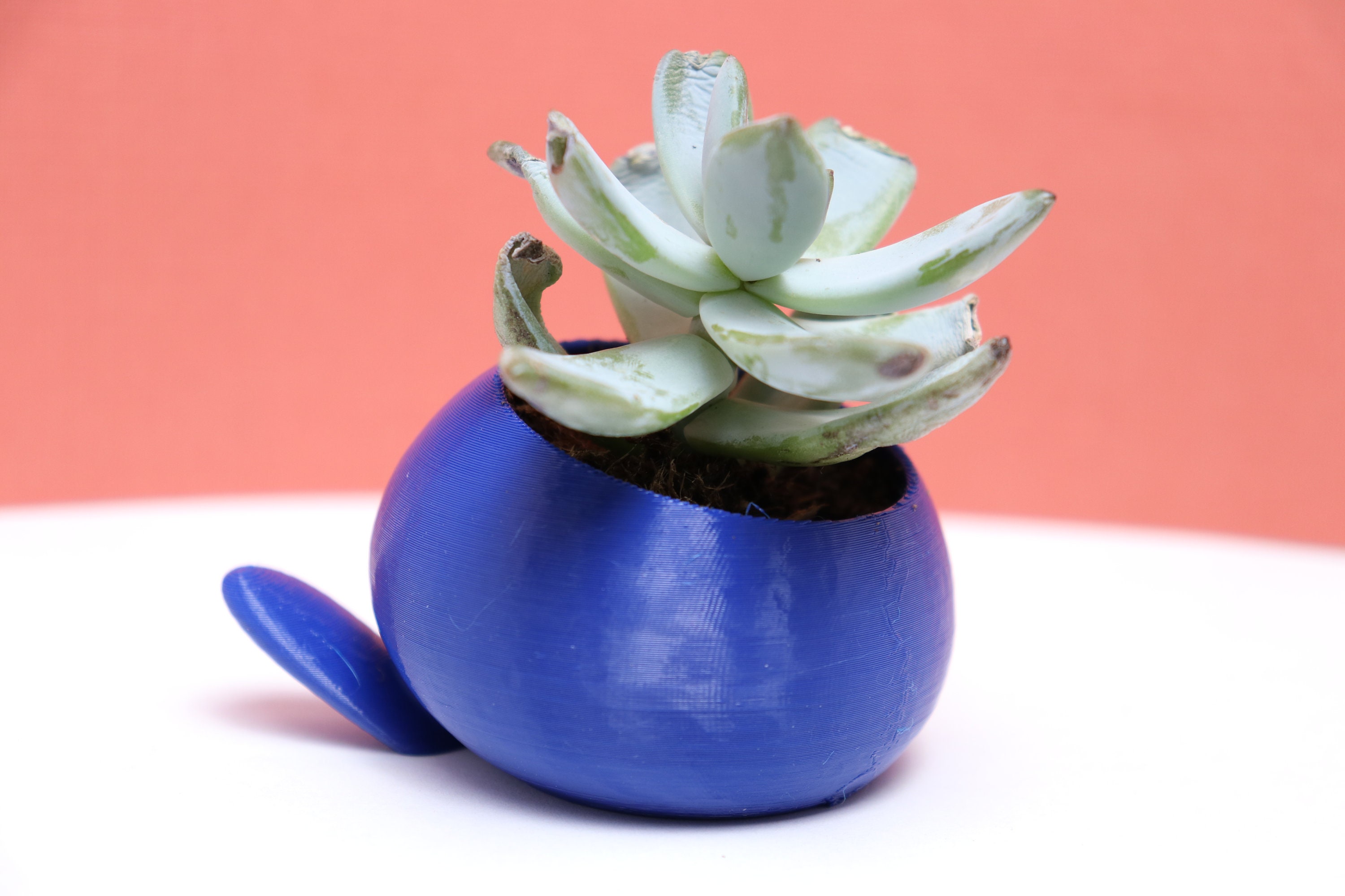 3D Printed Mini Oddish Pokemon Planter Succulent Planter - Etsy