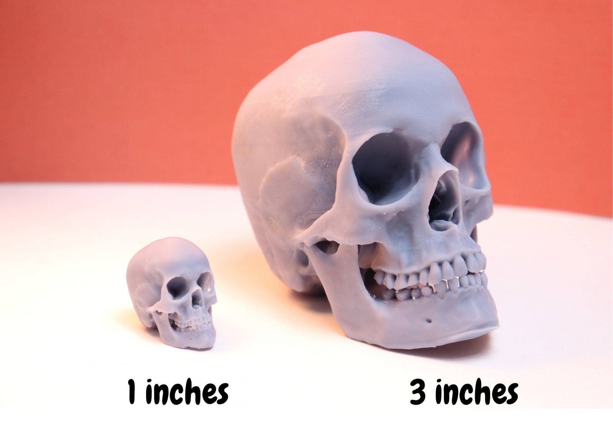 Human Skull Realistic Detailed Model Resin 3D Print Gray & - Etsy