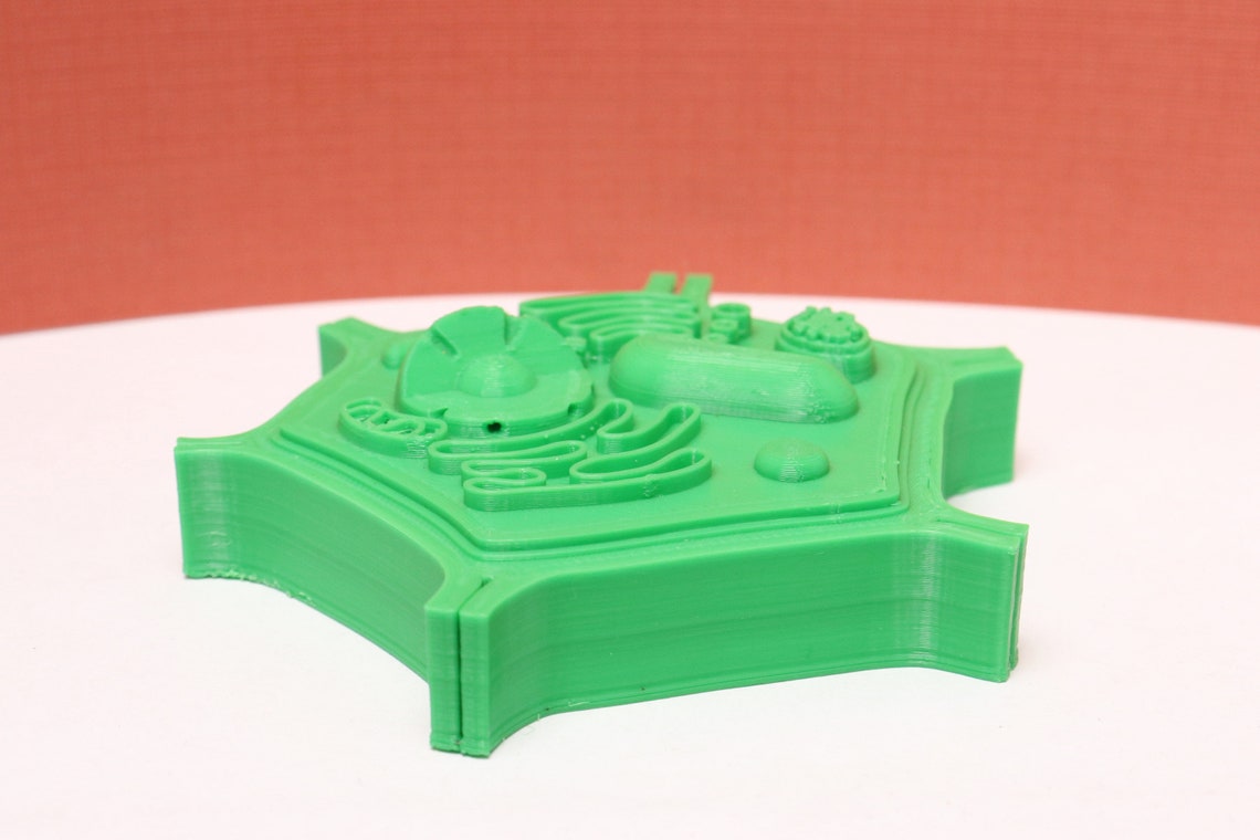 3D Printed Plant Cell Model Multiple Colors and Sizes - Etsy
