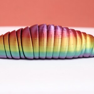 3D Printed Articulated Fidget Slug | Rainbow Color Available ...