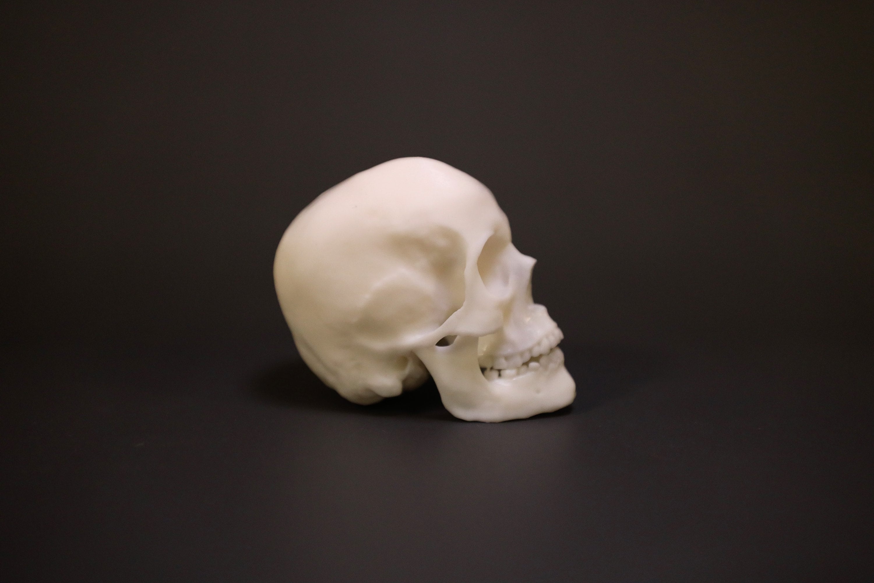 Human Skull Realistic Detailed Model | Resin 3D Print | Gray & White ...