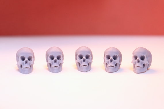 Tiny Human Skulls Realistic Models Set of 5 Great for - Etsy