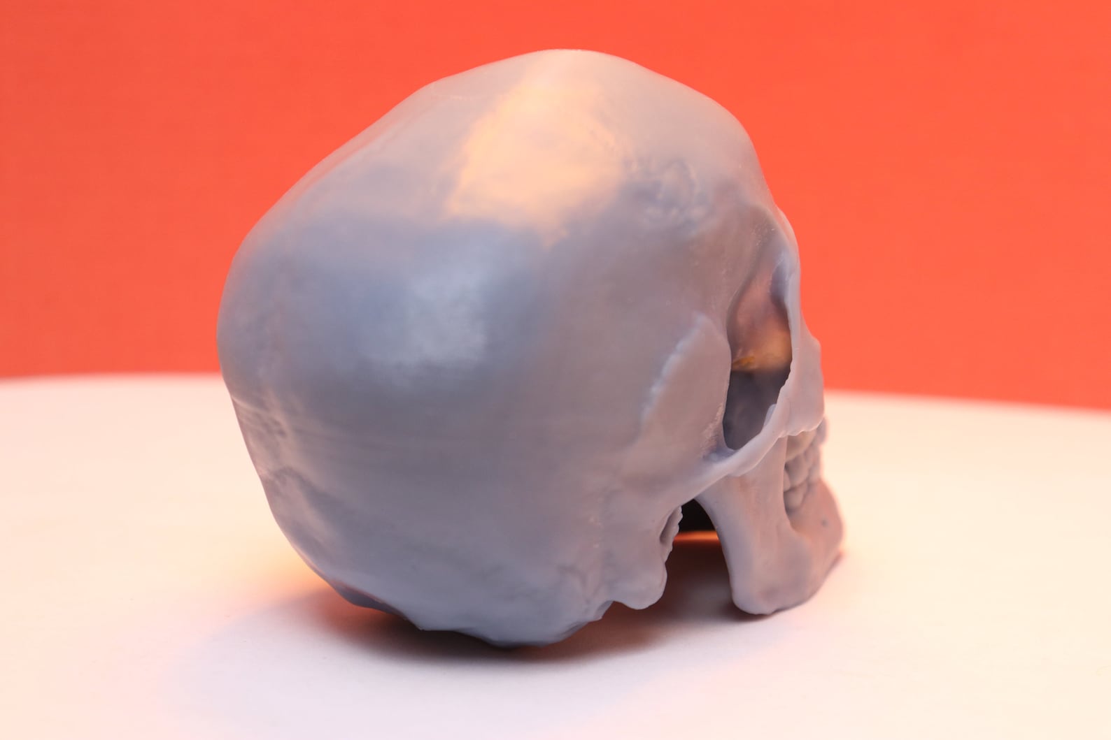 Human Skull Realistic Detailed Model Resin 3D Print Gray & - Etsy