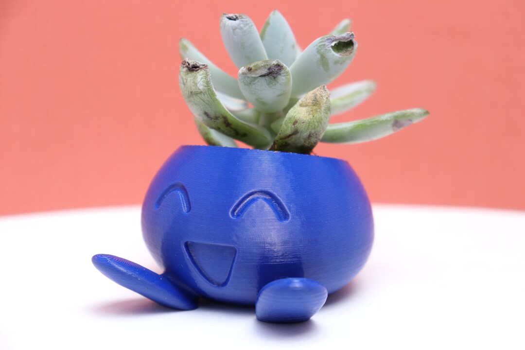 3D Printed Mini Oddish Pokemon Planter | Succulent Planter | - Multiple ...