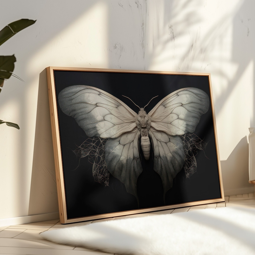 White Moth Art Print on Black Background, Striking Monochrome Insect ...