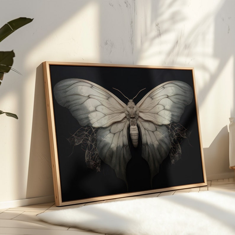 White Moth Art Print on Black Background, Striking Monochrome Insect ...
