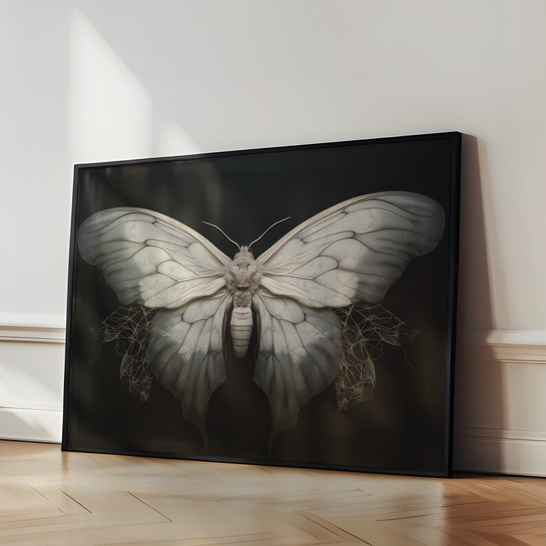 White Moth Art Print on Black Background, Striking Monochrome Insect ...