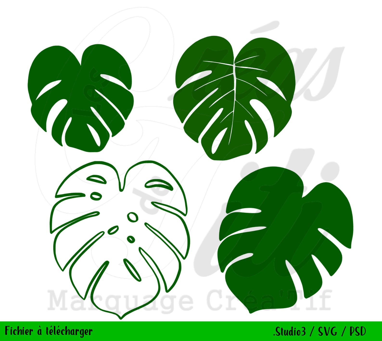 Monstera Leave Svg Cut File, Text Studio File, Phrase Svg, Text Svg ...