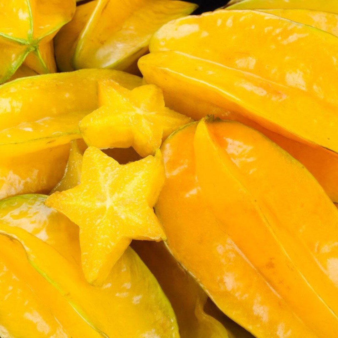 Star Fruit Seeds X40+: Organic Averrhoa Carambola - Free Gift Seeds - Etsy