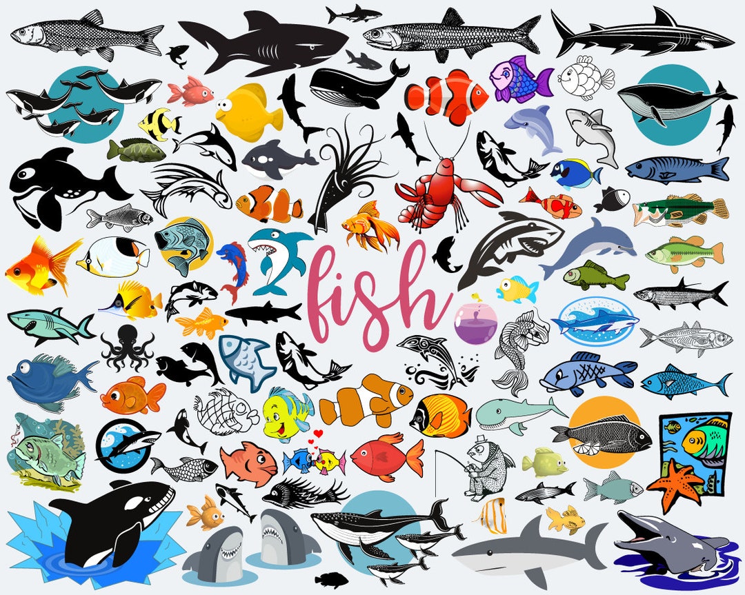 Fish Svg Bunde, Fish Clipart Svg, Fish, Tuna, Salmon, Tilapia, Catfish ...