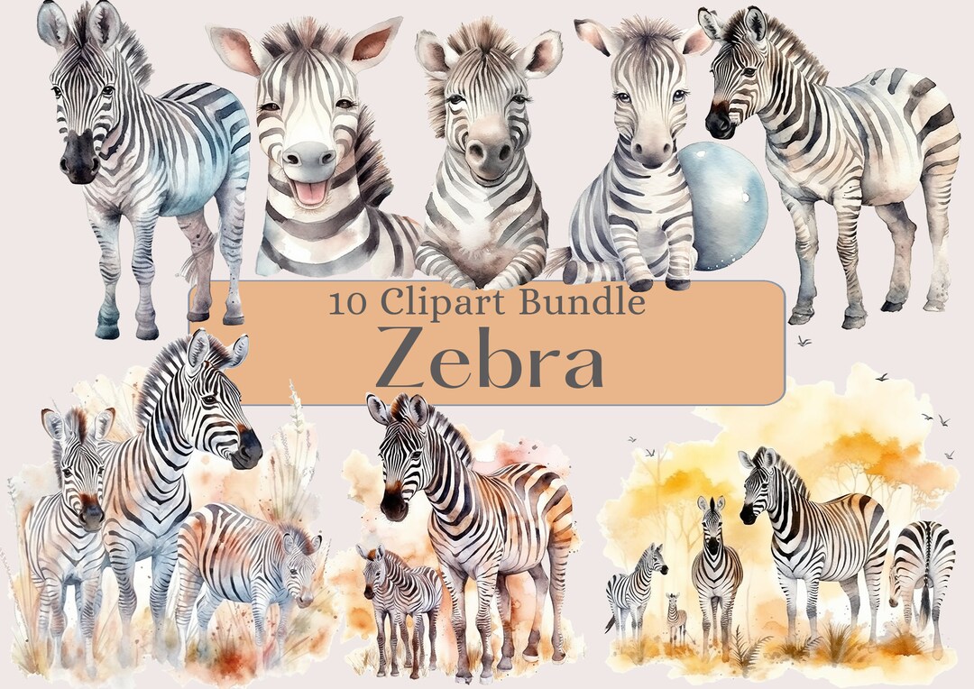 Zebra Watercolor Clipart, Safari Animals Clipart Bundle, Baby Animal ...