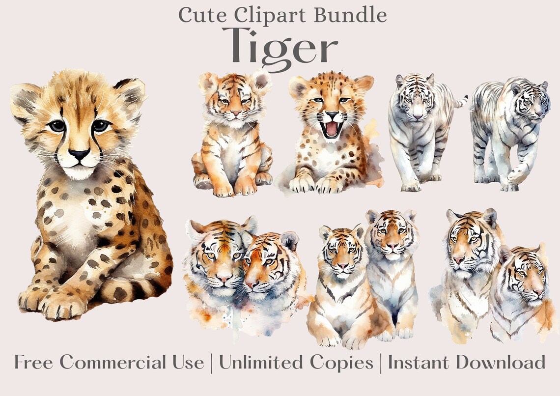 Tiger Clipart Watercolor Safari Animals Clipart Bundle - Etsy